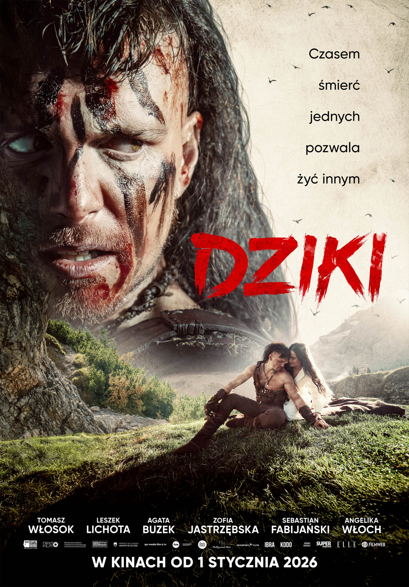 DZIKI – Next Film